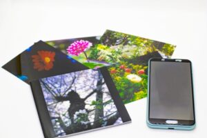 画像ファイル形式の種類とは？選び方や変換方法についても解説